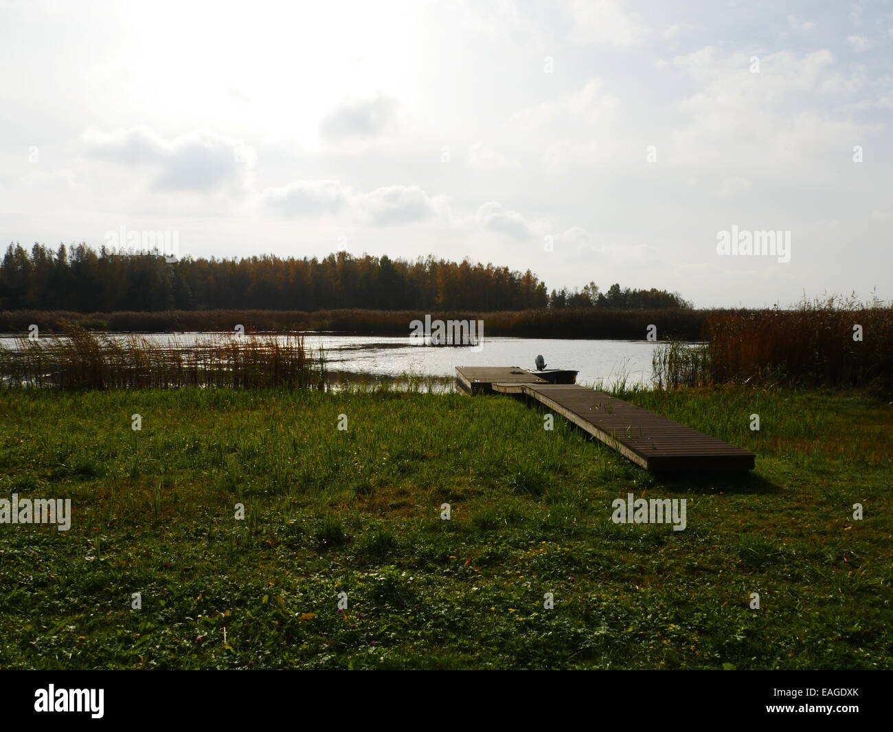 Landscape with trees and cute small lake Stock Photo - Alamy