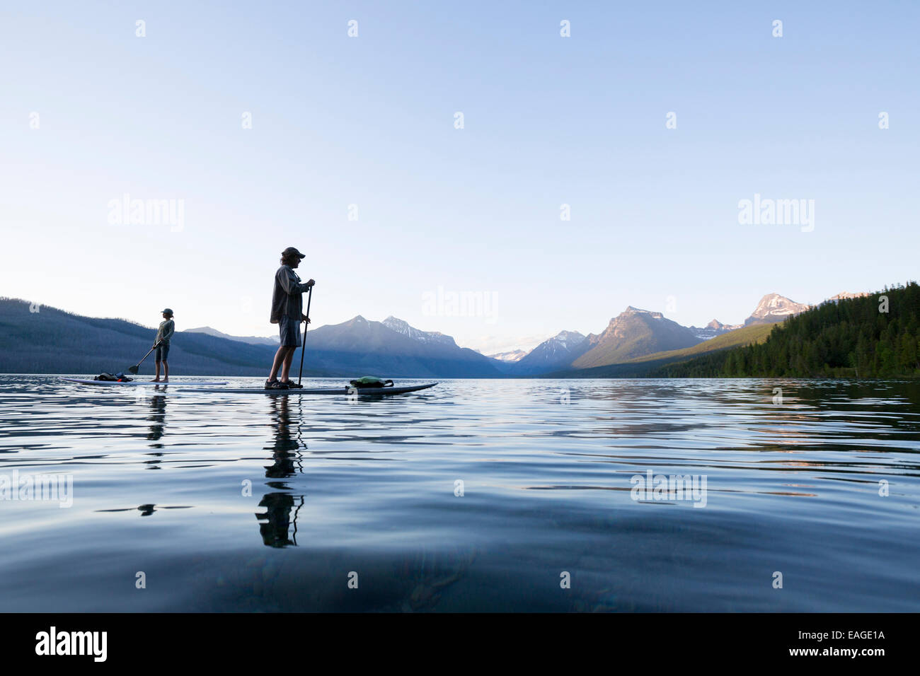 Woman up in a tree hi-res stock photography and images - Alamy