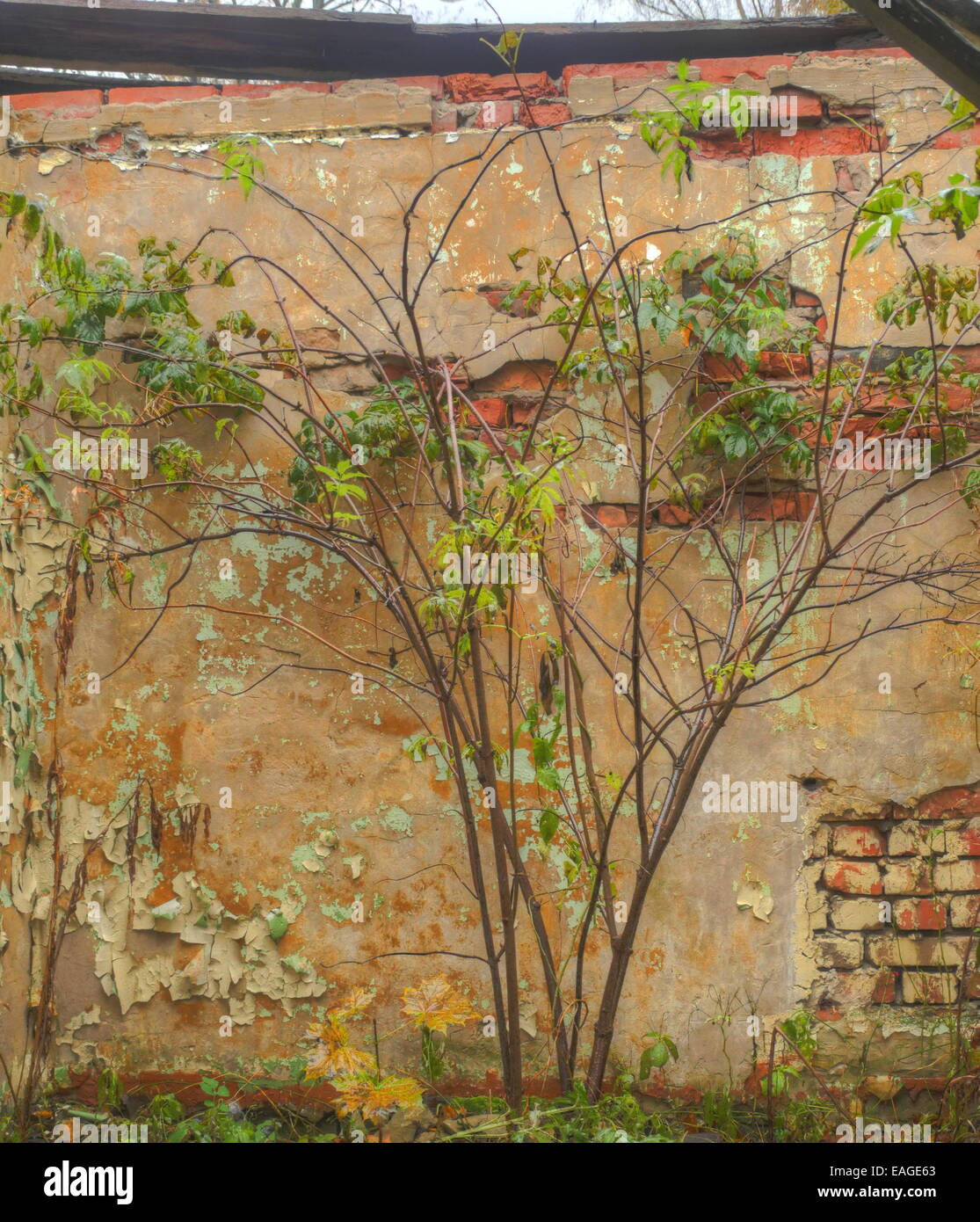 Beautiful classical old building hi-res stock photography and images ...