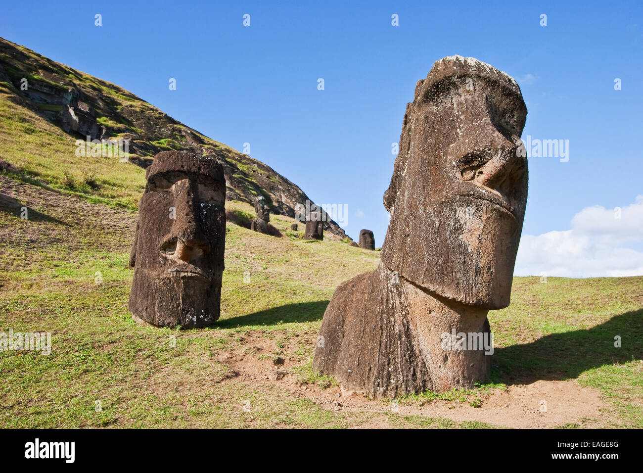 Moais By The Quarry On The Outer Slope Of The Rano Raraku Volcano, Rapa ...