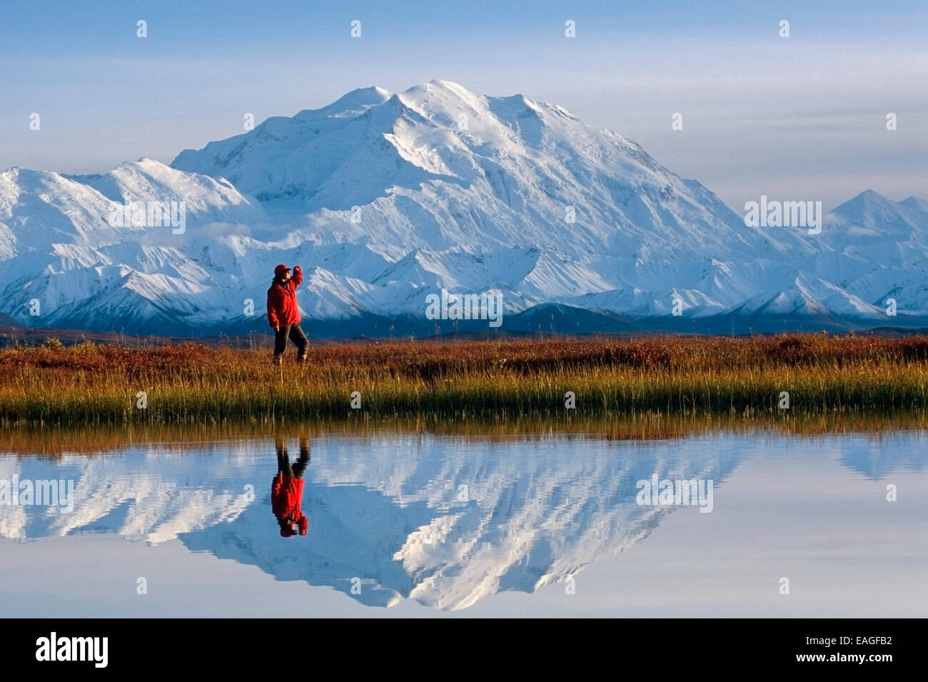 Woman Standing By Pond Reflecting Mt Mckinley Denali National Park ...