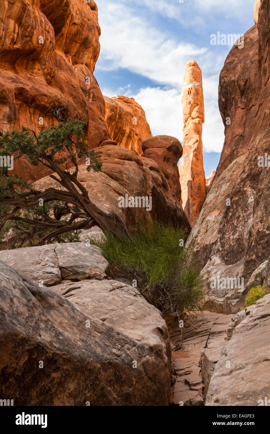 A slender sandstone hoodoo rises above the Fiery Furnace section of ...