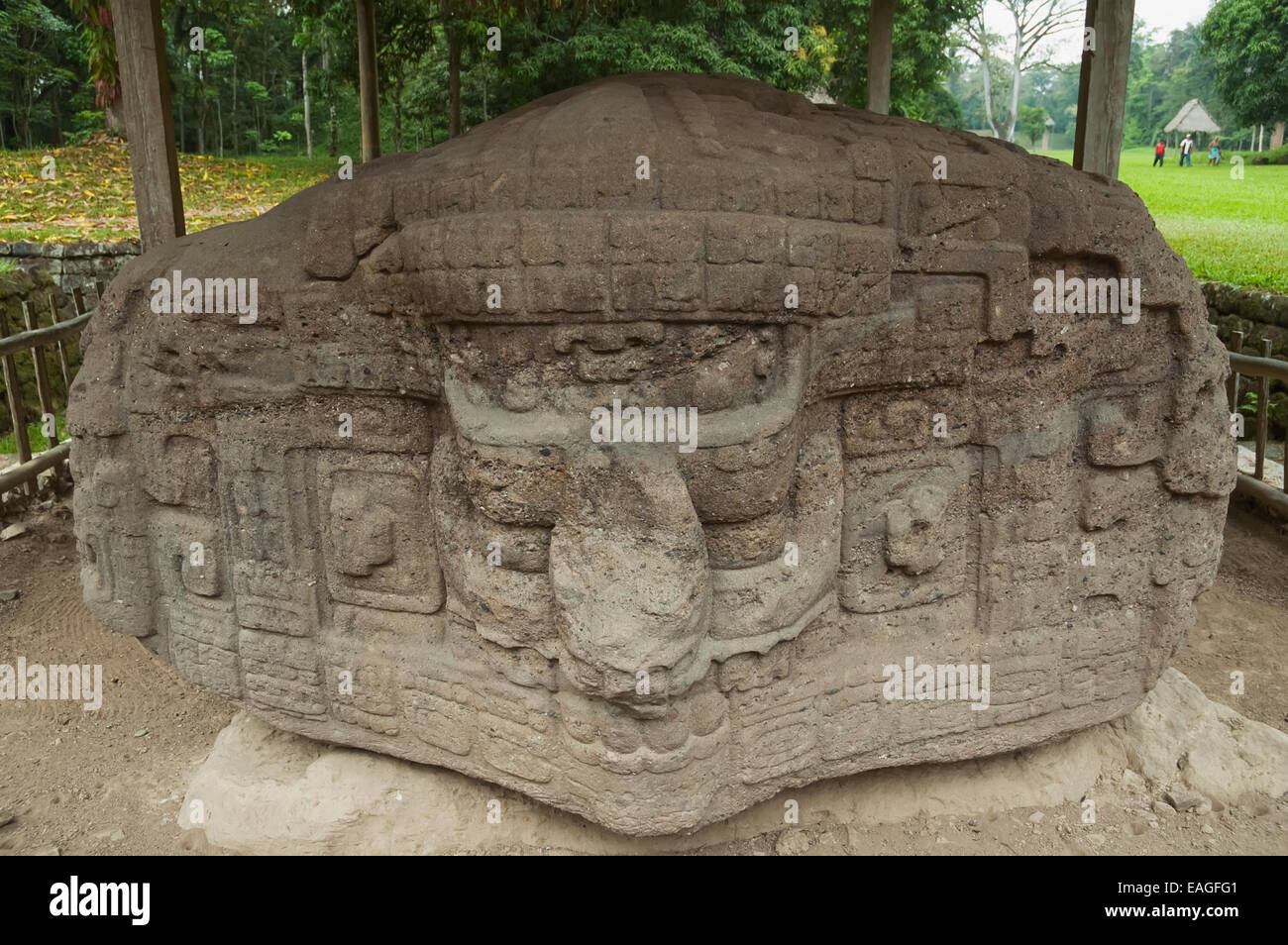 Zoomorph O Or Monument 15, Quirigu Stock Photo - Alamy