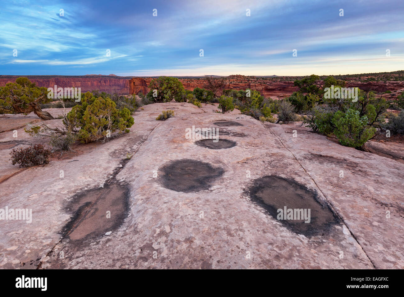 Dry water puddles at Cayonlands, Utah Stock Photo - Alamy