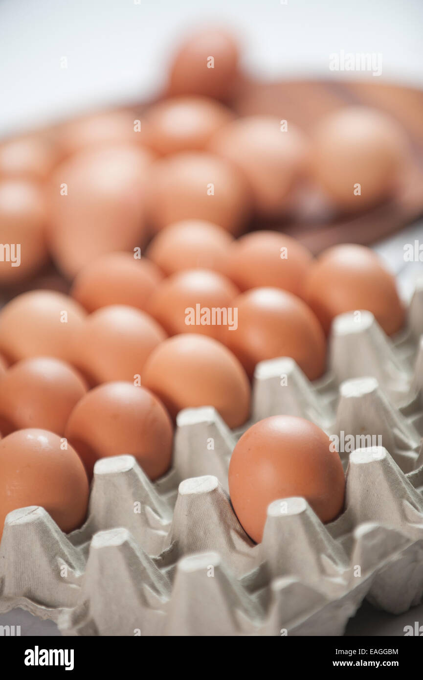 Many eggs in a large egg box in a chefs kitchen Stock Photo - Alamy