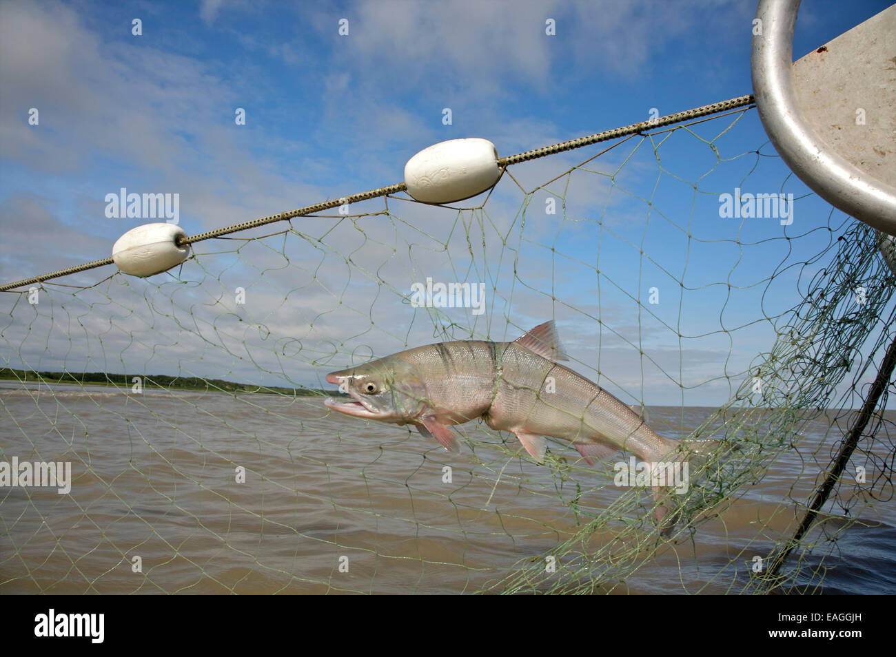 Commercial set hi-res stock photography and images - Alamy