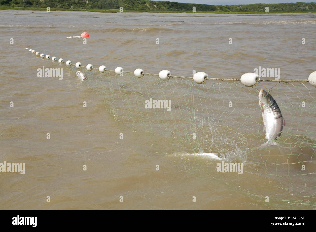 Commercial set hi-res stock photography and images - Alamy