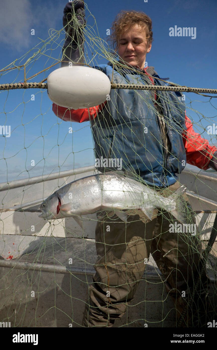 Commercial salmon set net fishing hi-res stock photography and images ...