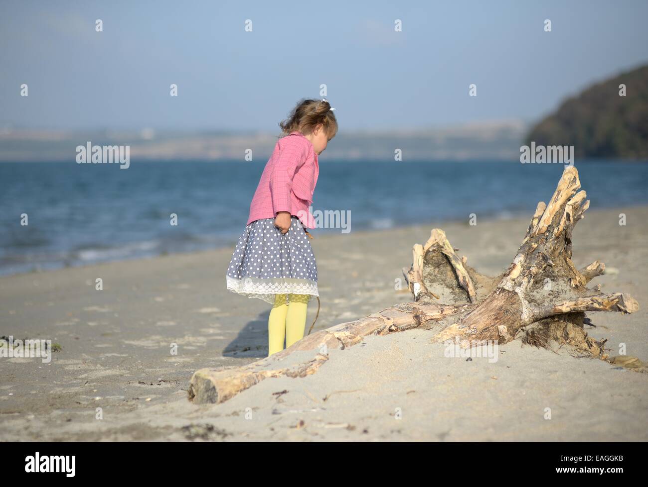 Child searching hi-res stock photography and images - Alamy