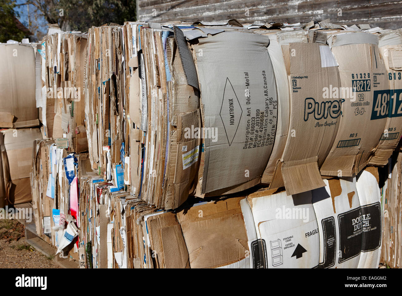 bales of cardboard for recycling Saskatchewan Canada Stock Photo - Alamy