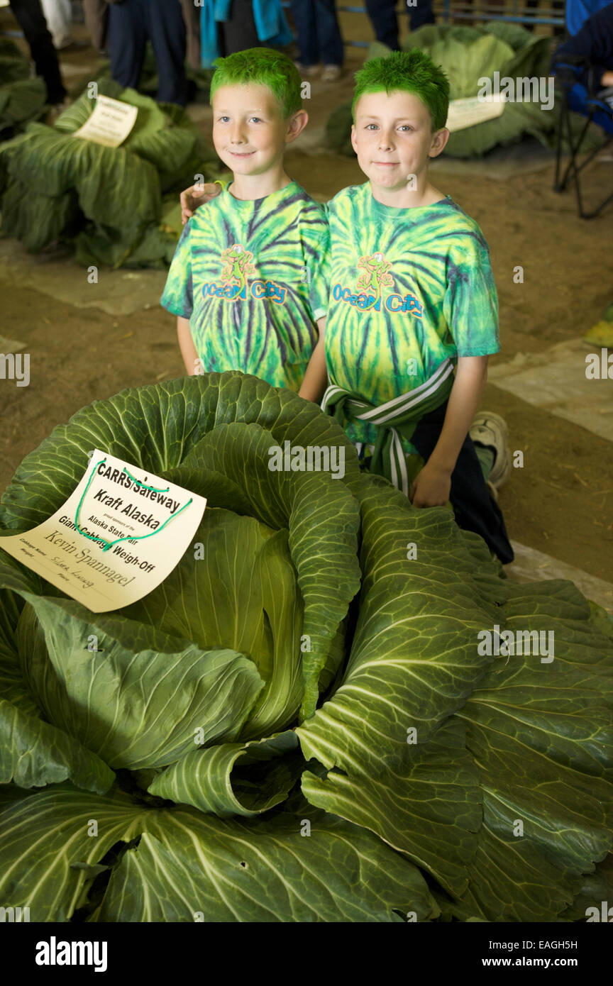 Alaska state fair cabbage hi-res stock photography and images - Alamy