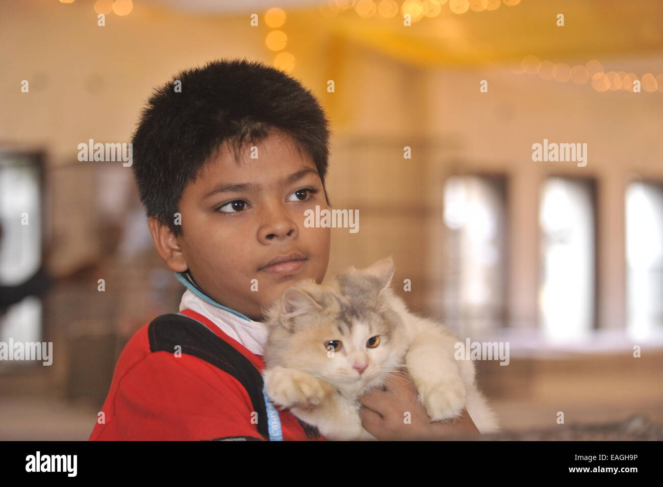 Which organized cat club hi-res stock photography and images - Alamy