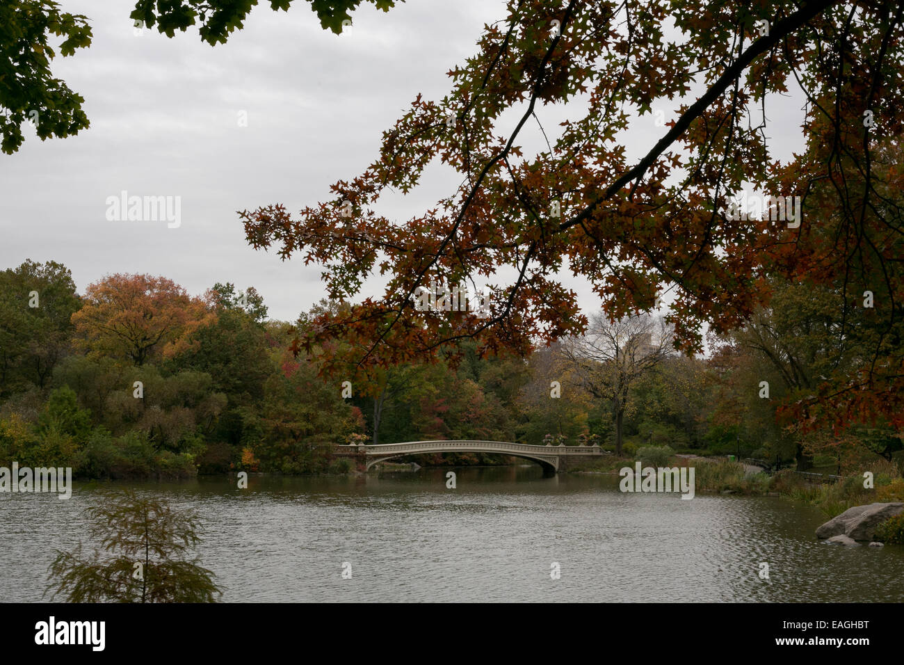 View of the Bow bridge in Central Park, New York Stock Photo - Alamy