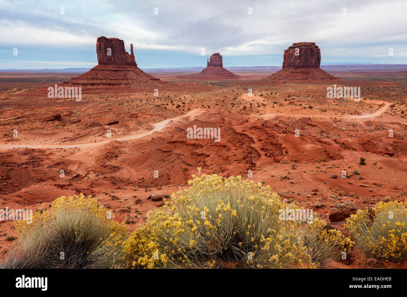 Wild Flowers with Monument Valley Buttes Stock Photo - Alamy