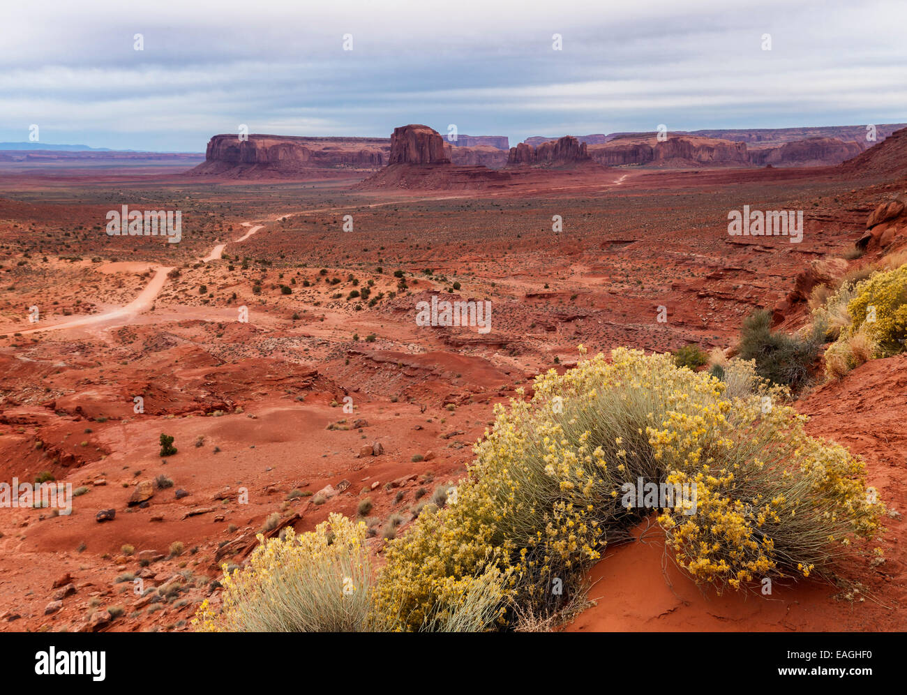 Wild flowers at Monument Valley Stock Photo - Alamy