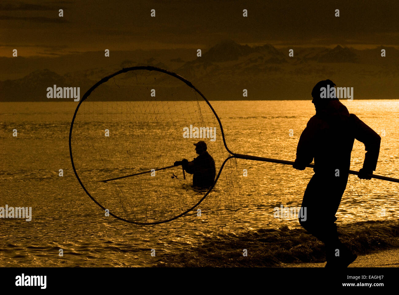 Fishing,Alaska,Men,Kenai River,Dip Netting Stock Photo - Alamy