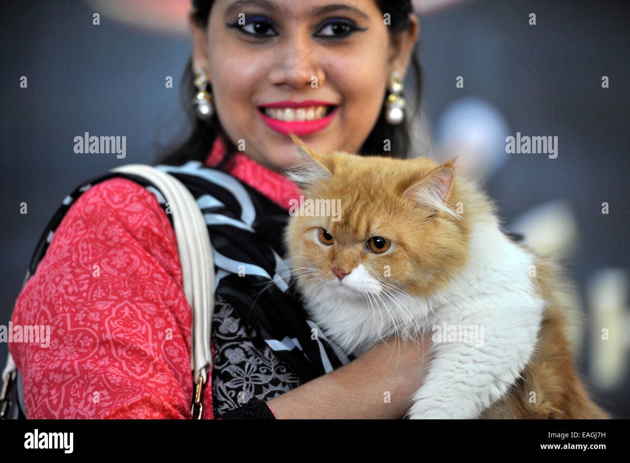 Which organized cat club hi-res stock photography and images - Alamy