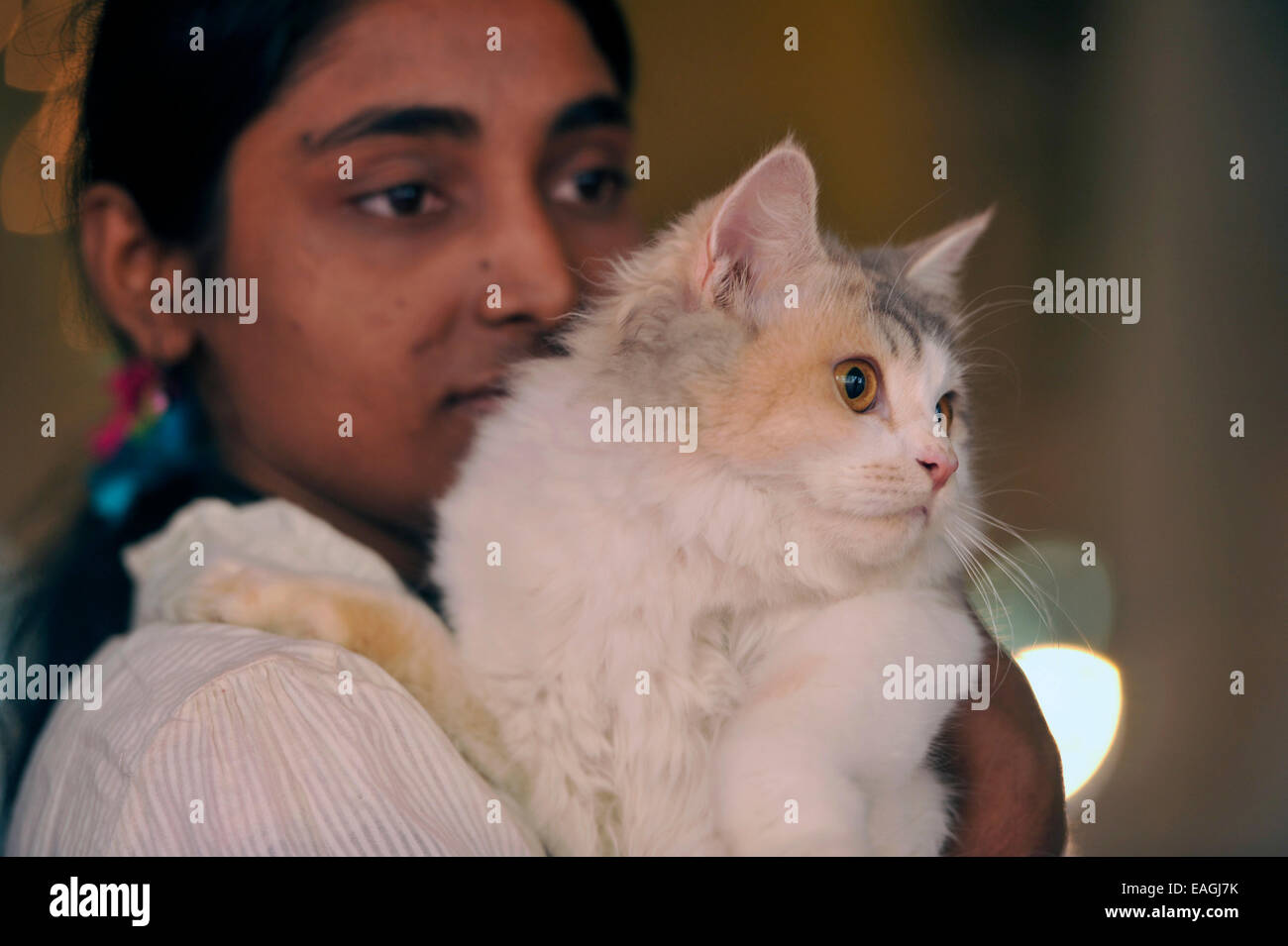 Cat owner proudly shows her pet. Cat Association of Bangladesh ...