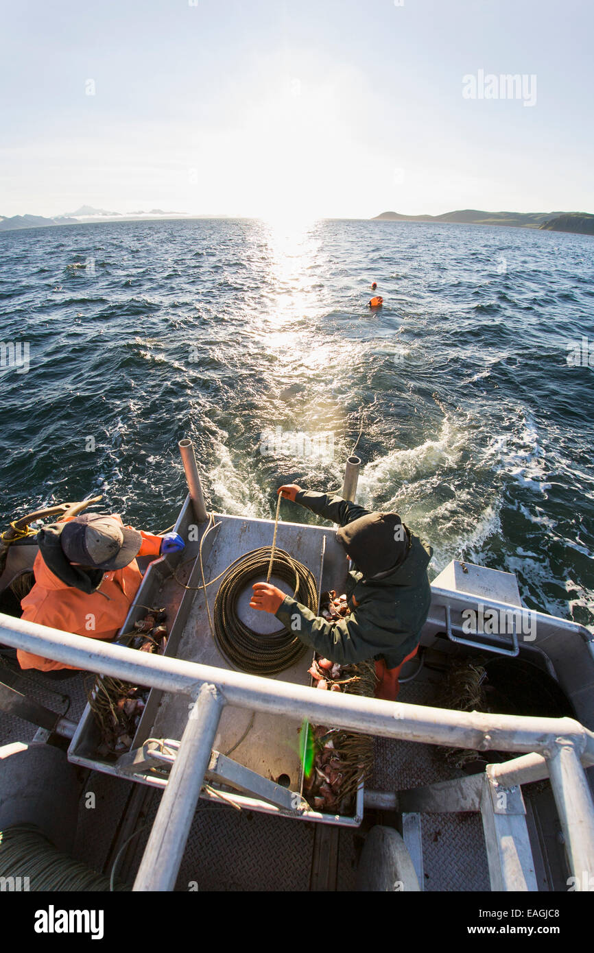 Commercial halibut fishing longline hooks hi-res stock photography and ...