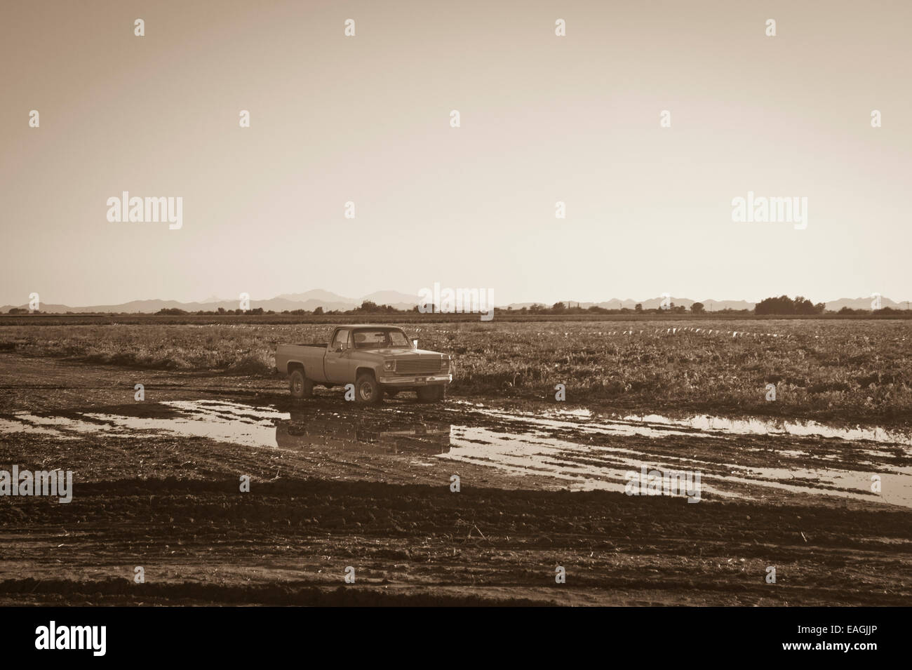 Pickup truck sits in open muddy crop field Stock Photo - Alamy