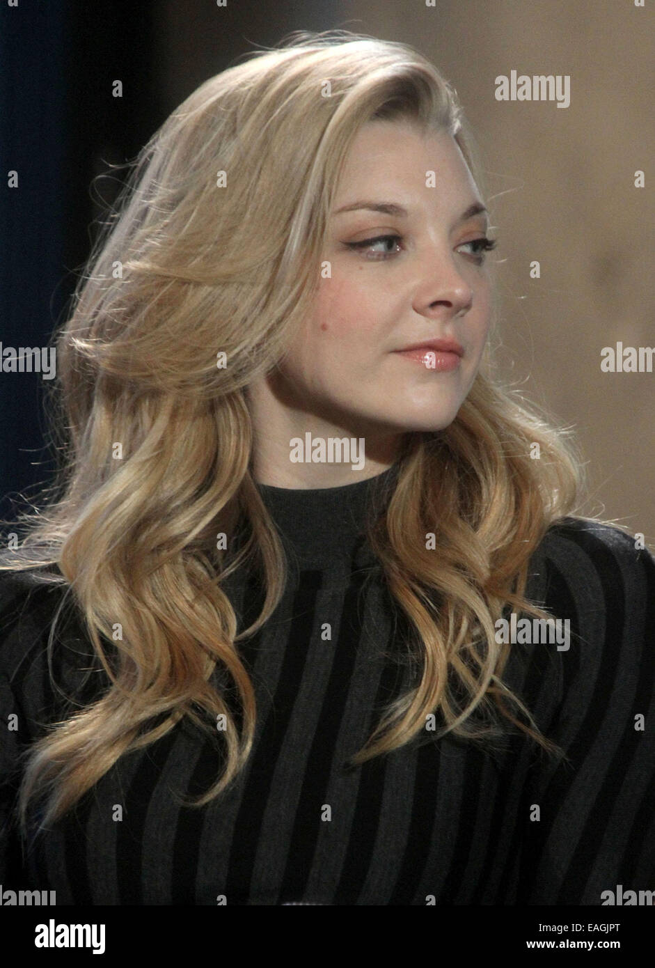 New York, USA. 14th Nov, 2014. Actress NATALIE DORMER attends the ...