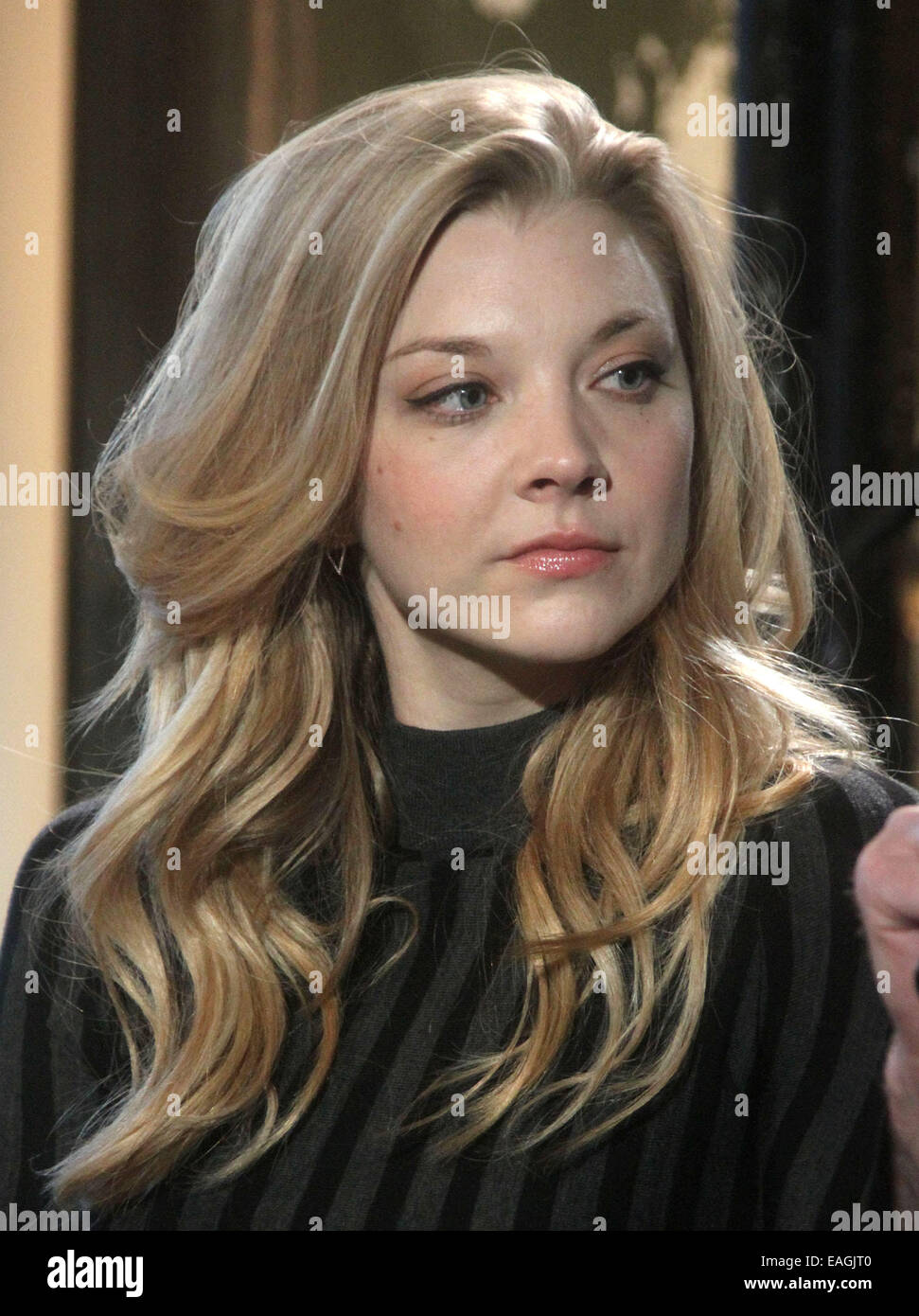 New York, USA. 14th Nov, 2014. Actress NATALIE DORMER attends the ...