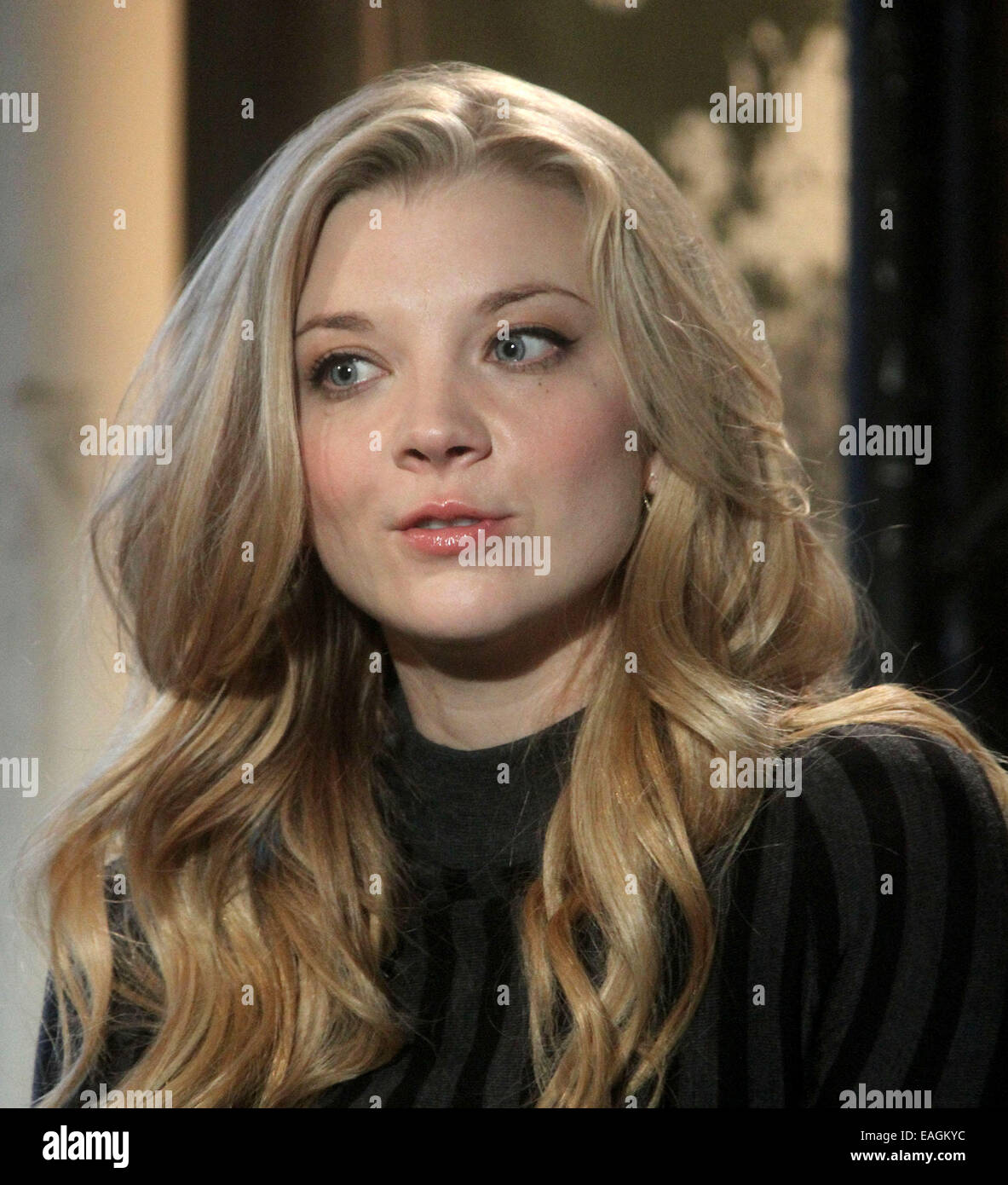 New York, USA. 14th Nov, 2014. Actress NATALIE DORMER attends the ...