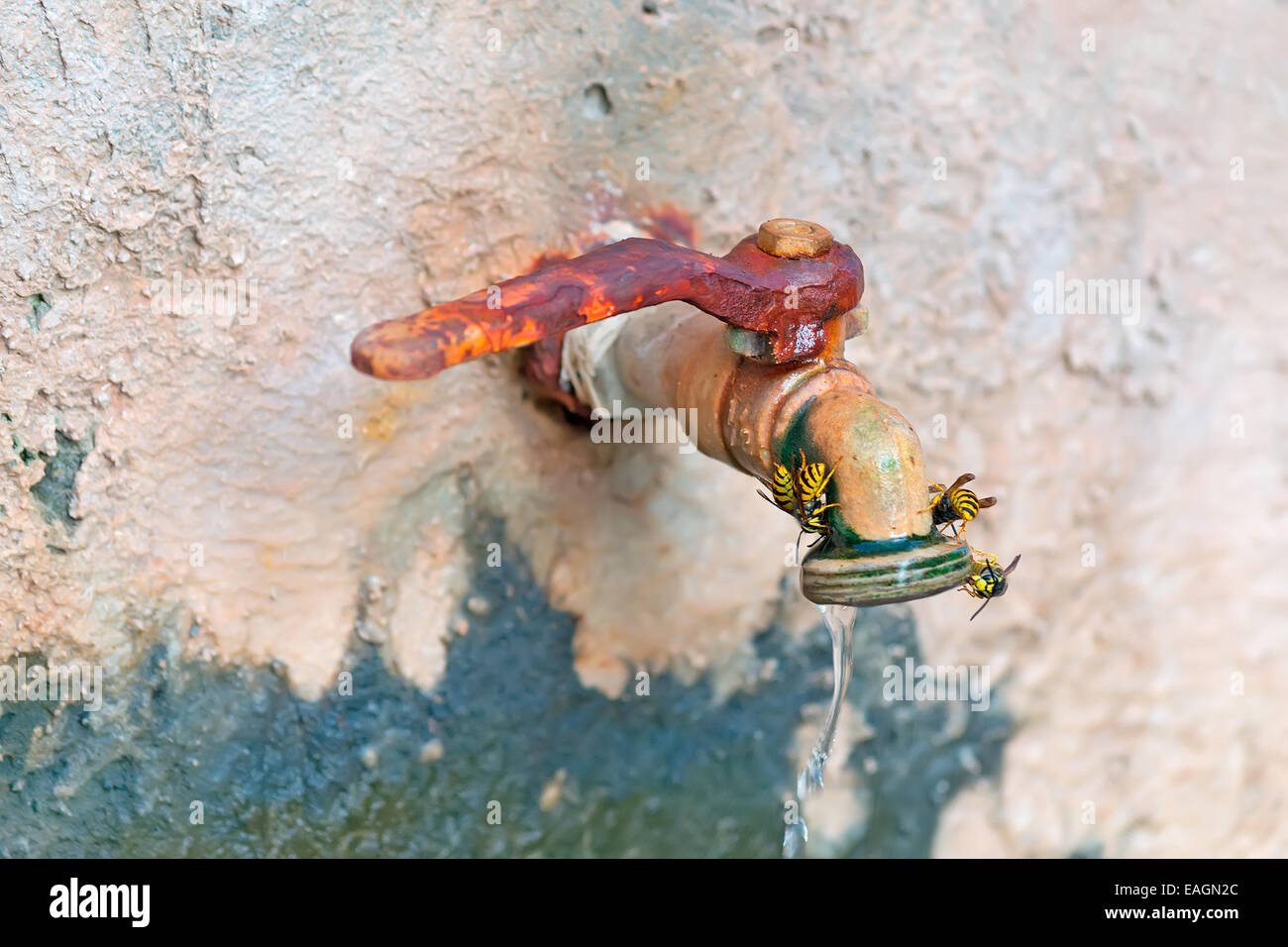 Old Spigot High Resolution Stock Photography and Images - Alamy