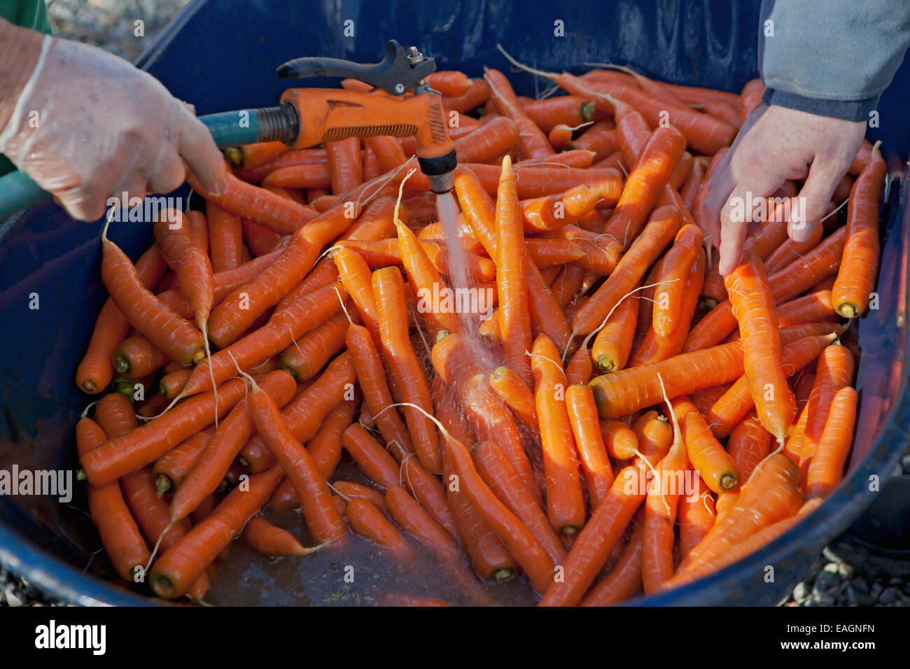 Palmer arms hi-res stock photography and images - Alamy