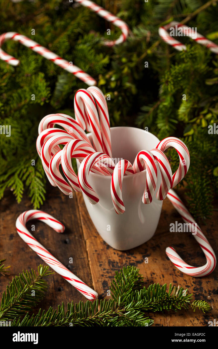 Festive Red and White Peppermint Candy Canes Stock Photo - Alamy