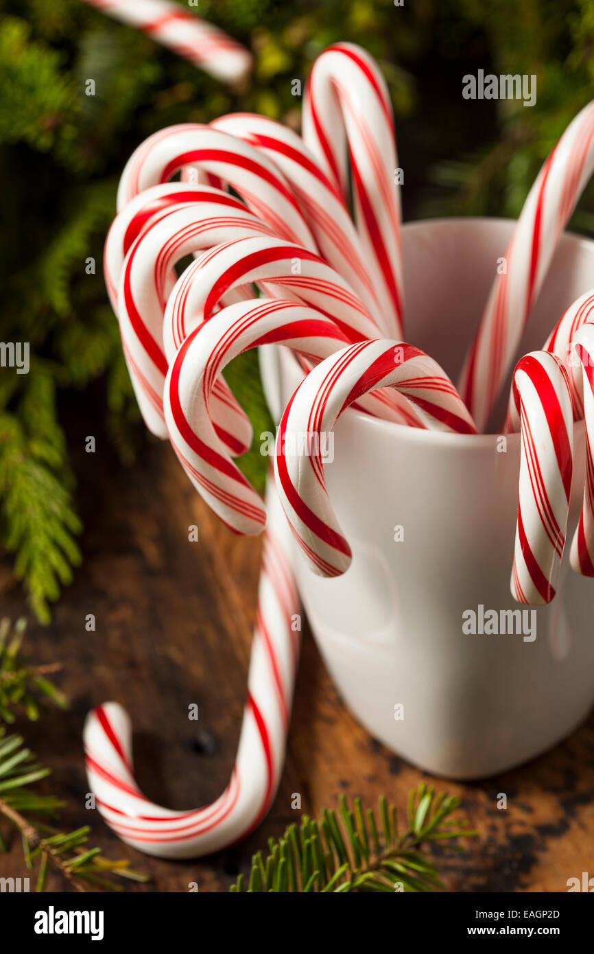 Festive Red and White Peppermint Candy Canes Stock Photo - Alamy