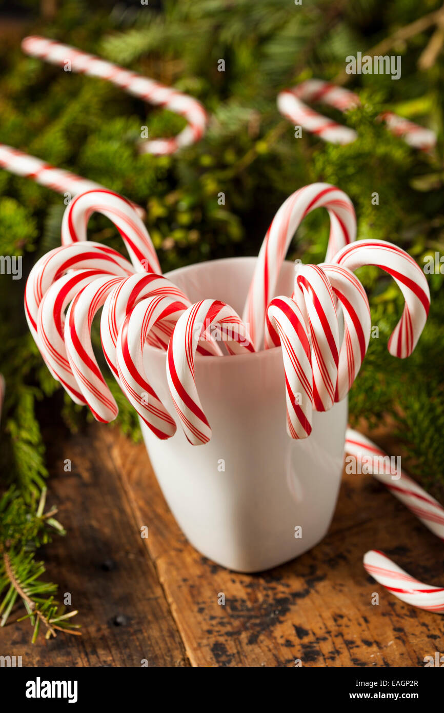 Festive Red and White Peppermint Candy Canes Stock Photo - Alamy
