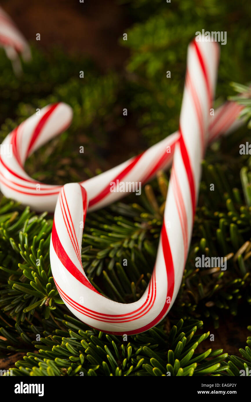 Festive Red and White Peppermint Candy Canes Stock Photo - Alamy