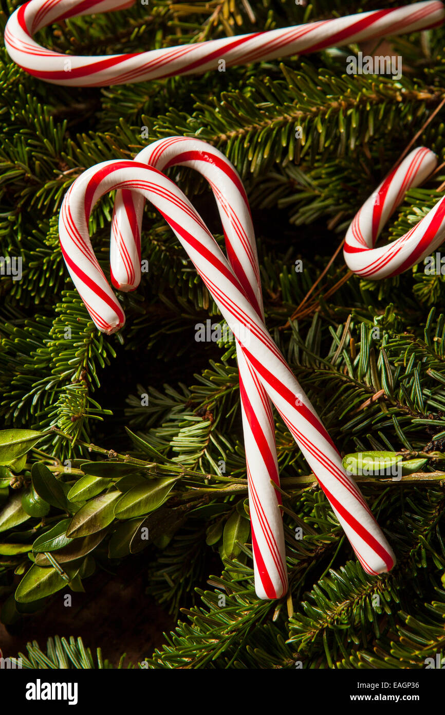 Festive Red and White Peppermint Candy Canes Stock Photo - Alamy
