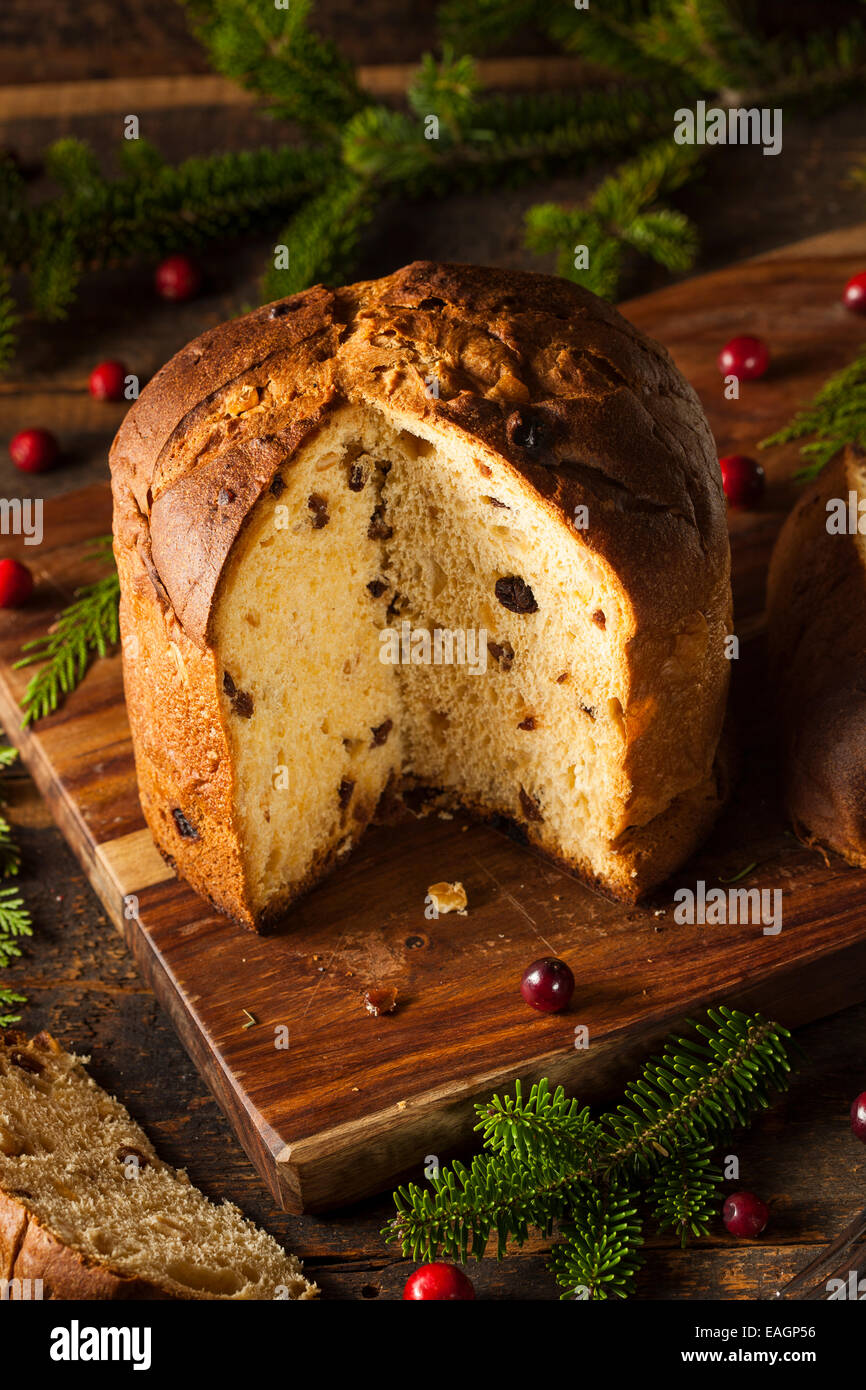 Homemade Panettone Fruit Cake Ready for Christmas Stock Photo - Alamy