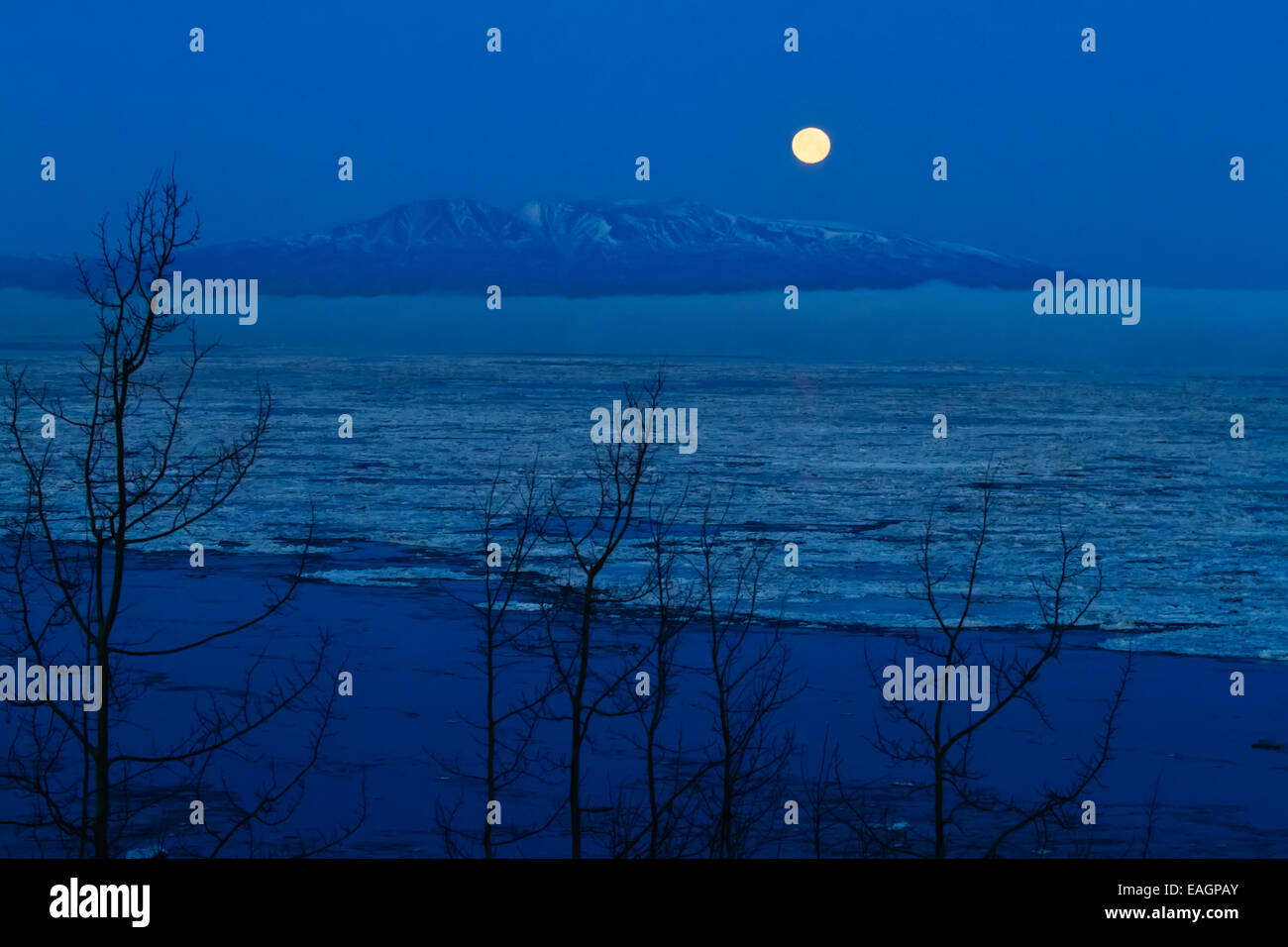 Doug west hi-res stock photography and images - Alamy