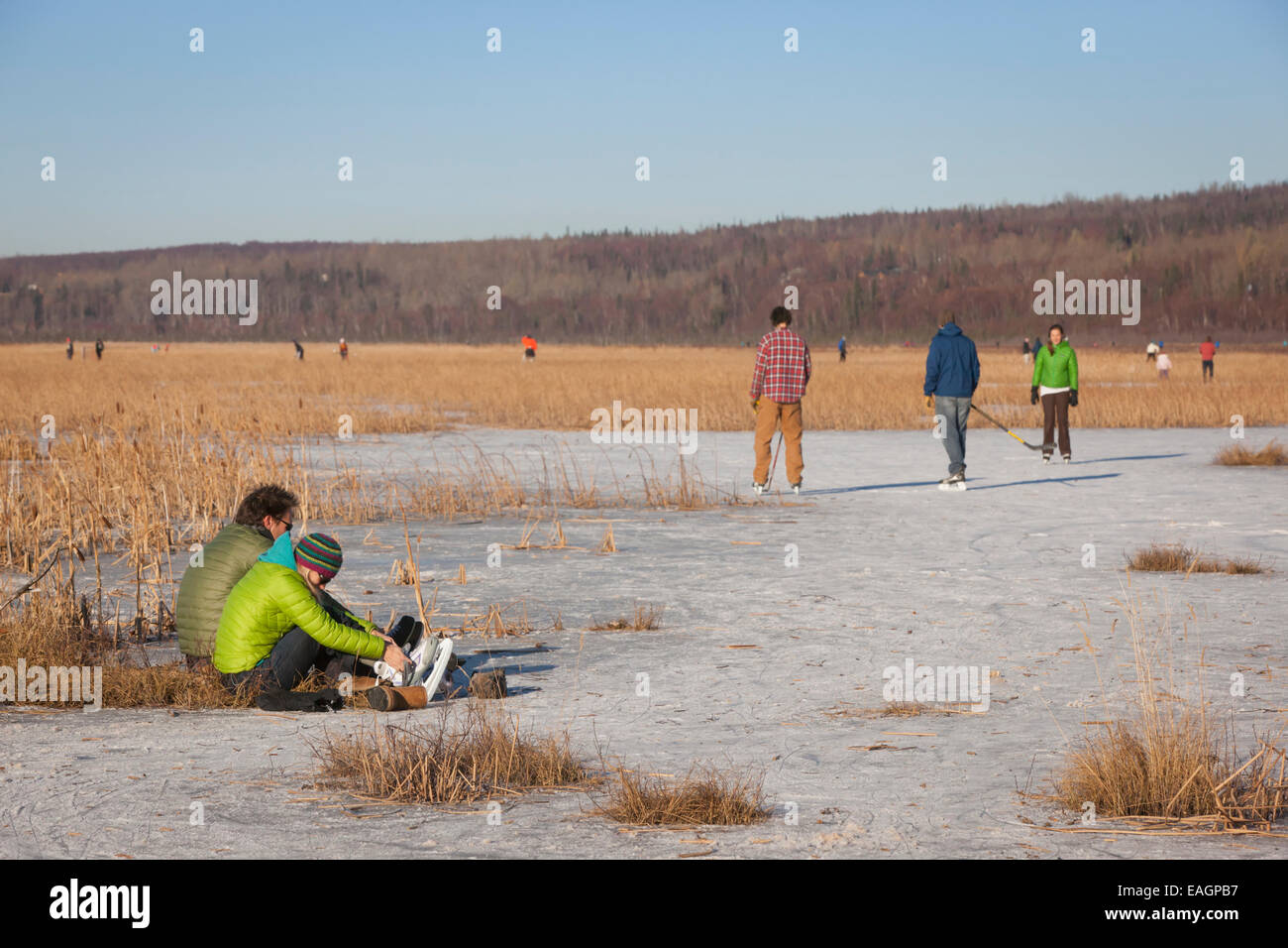 Ice Skaters At Potter Marsh After The First Thick Ice In Autumn ...