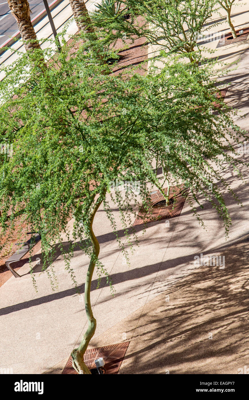 Urban streetscapes and buildings in downtown Phoenix, Arizona Stock ...