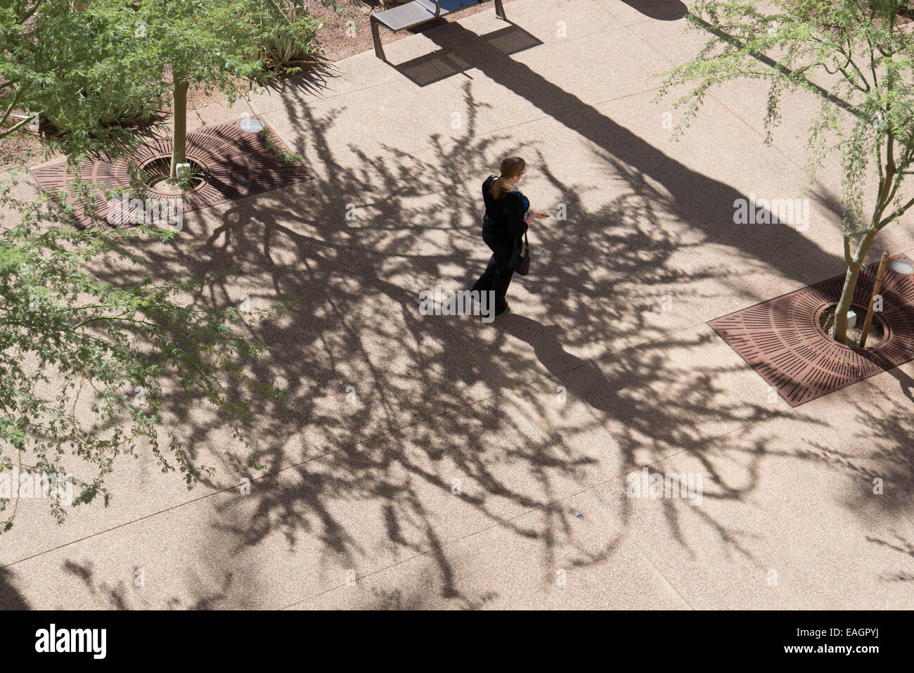 Urban streetscapes and buildings in downtown Phoenix, Arizona Stock ...