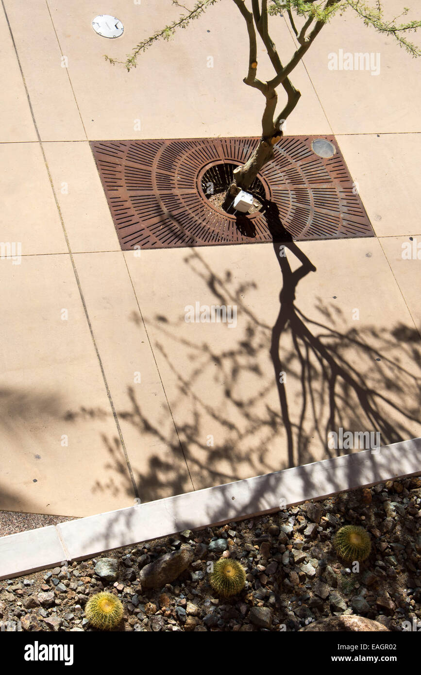 Urban streetscapes and buildings in downtown Phoenix, Arizona Stock ...