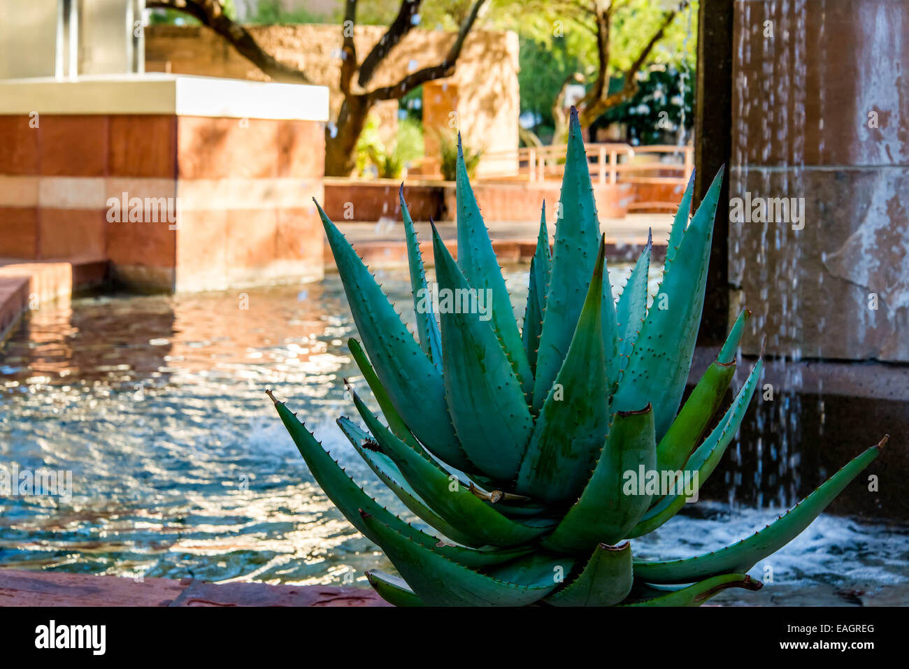 Urban streetscapes and buildings in downtown Phoenix, Arizona Stock ...