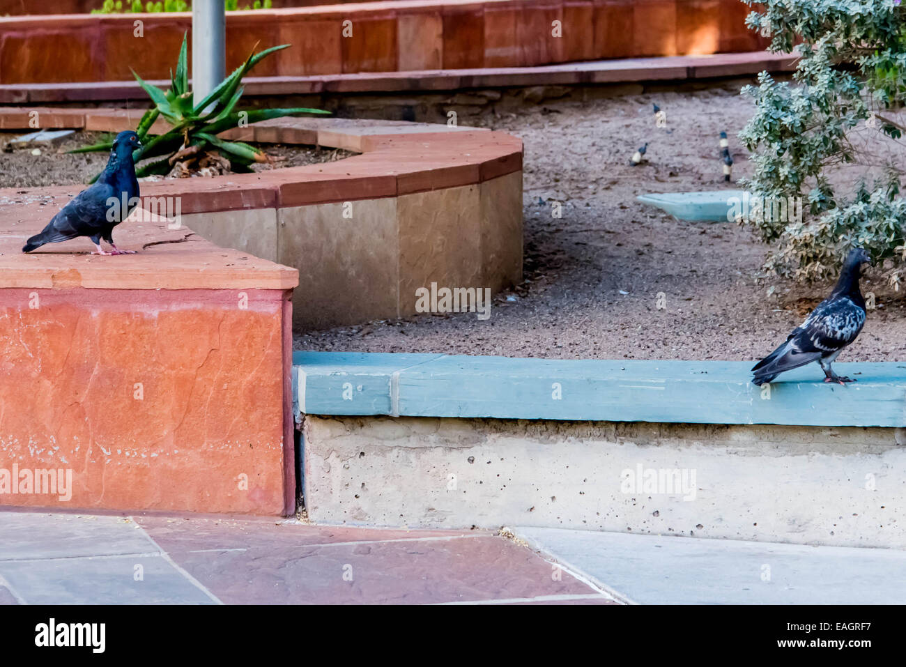 Urban streetscapes and buildings in downtown Phoenix, Arizona Stock ...