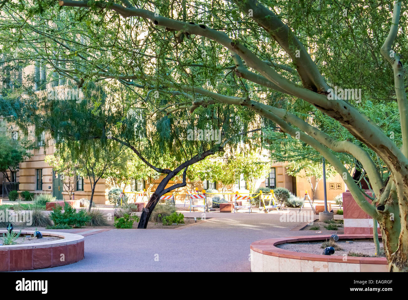Urban streetscapes and buildings in downtown Phoenix, Arizona Stock ...