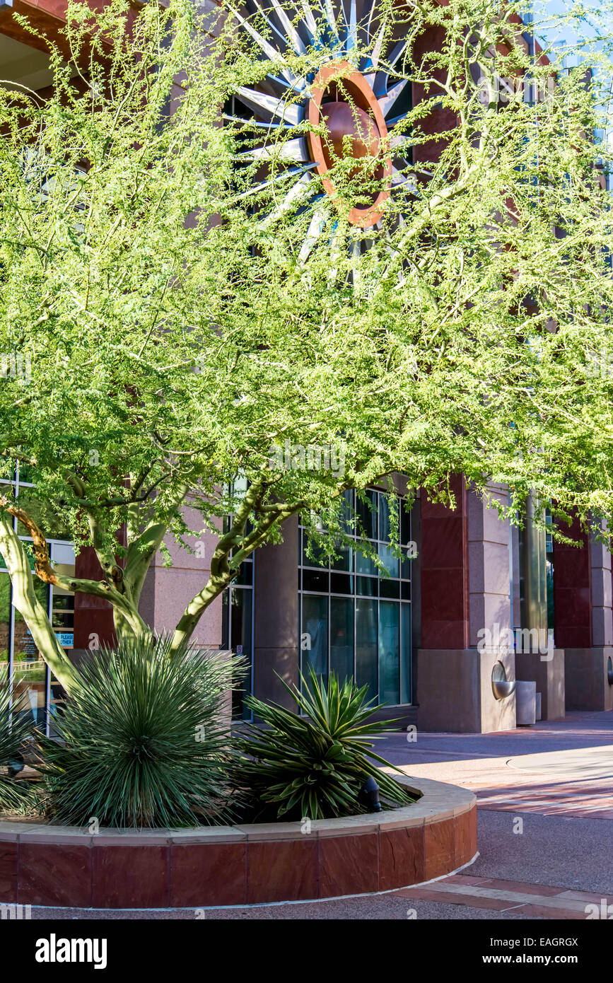 Urban streetscapes and buildings in downtown Phoenix, Arizona Stock ...