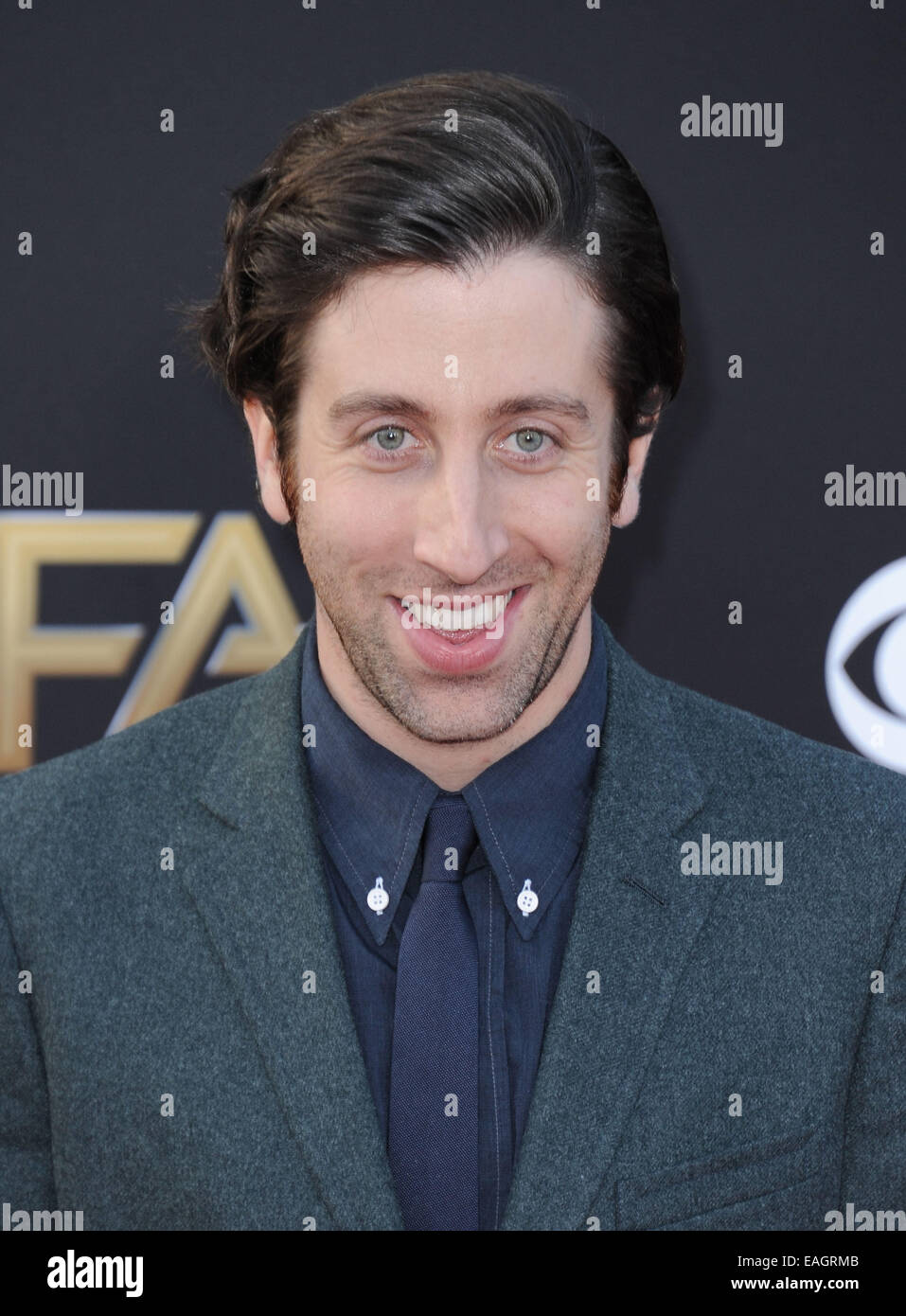 Los Angeles, California, USA. 14th Nov, 2014. Simon Helberg attending ...