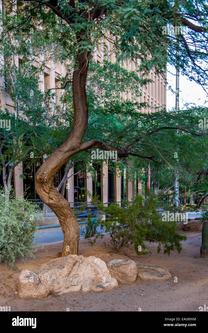 Urban streetscapes and buildings in downtown Phoenix, Arizona Stock ...