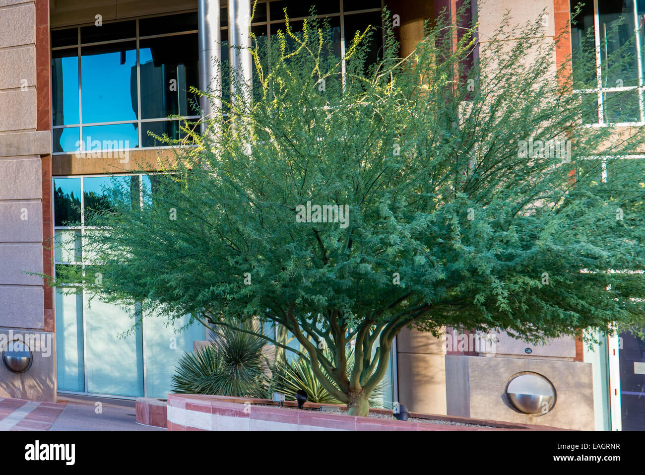 Urban streetscapes and buildings in downtown Phoenix, Arizona Stock ...