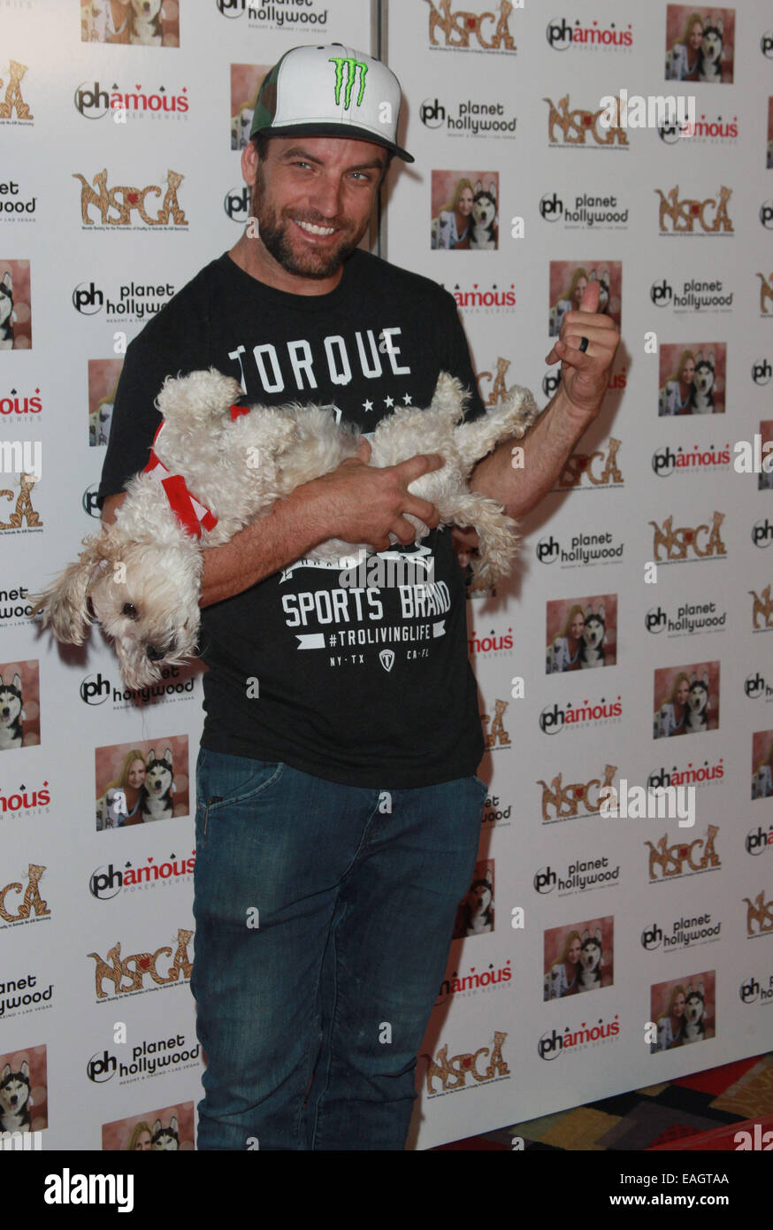 Las Vegas, Nevada, USA. 14th Nov, 2014. MTV host T J Lavin attends the ...