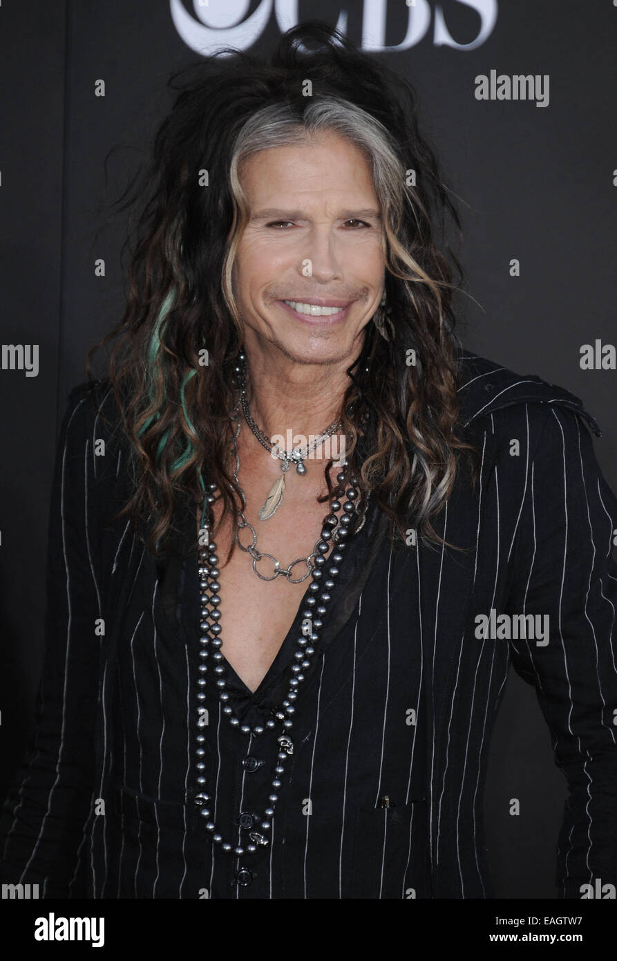 Los Angeles, California, USA. 14th Nov, 2014. Steven Tyler attending ...