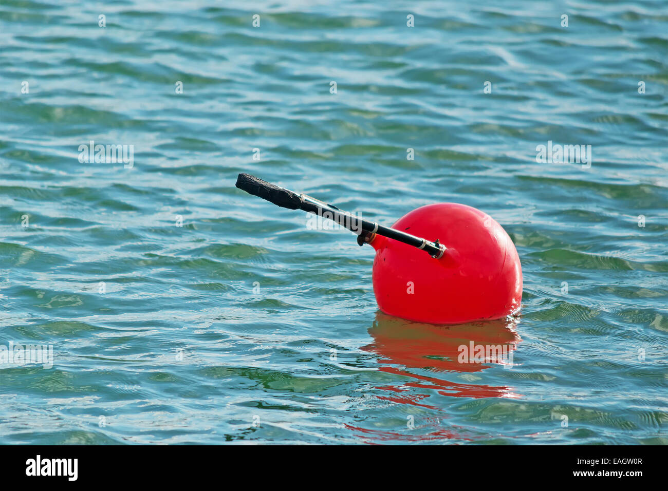 red buoy floating in the water Stock Photo - Alamy